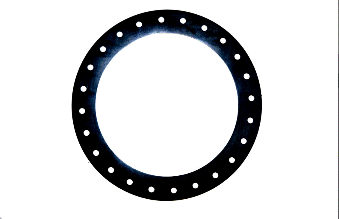 Manway Gasket, 24 Hole, Viton – Otter Supply