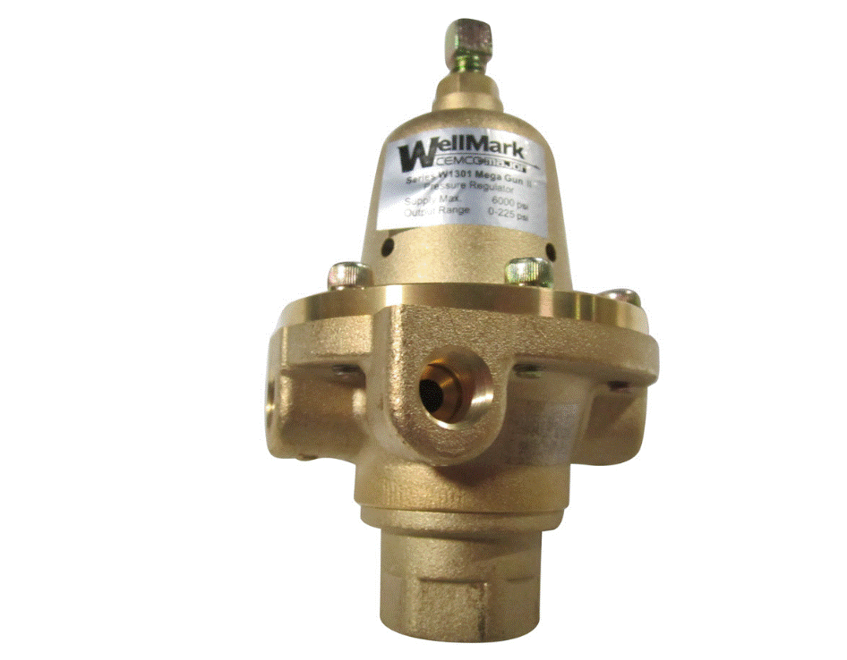 Pressure Regulator, 0-225 PSI, Wellmark – Otter Supply