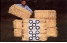 Baled Excelsior – Otter Supply